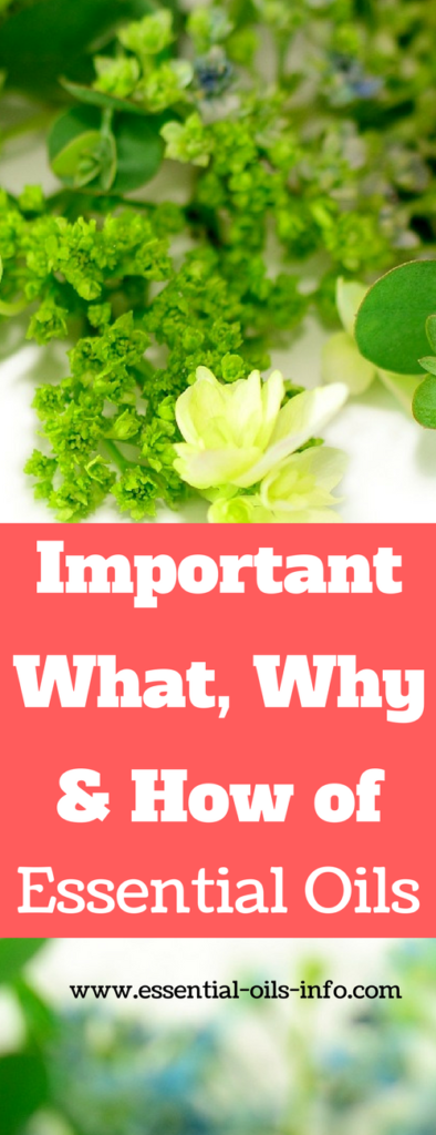 What are Essential Oils and Why Young Living Oils are the Best?