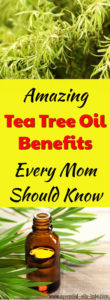 Tea Tree Oil - Young Living Essential Oils for Aromatherapy